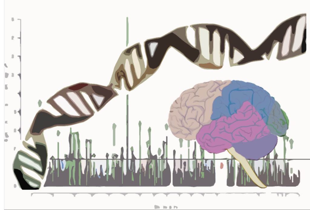 Variantes genéticas somáticas podrían contribuir a la esquizofrenia ...