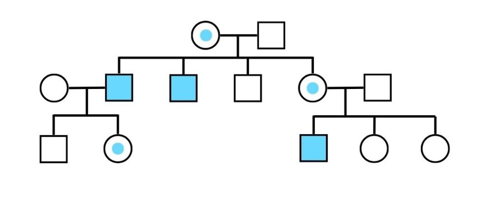 Enfermedades hereditarias: ¿Qué son? ¿Cómo se clasifican? - Genotipia
