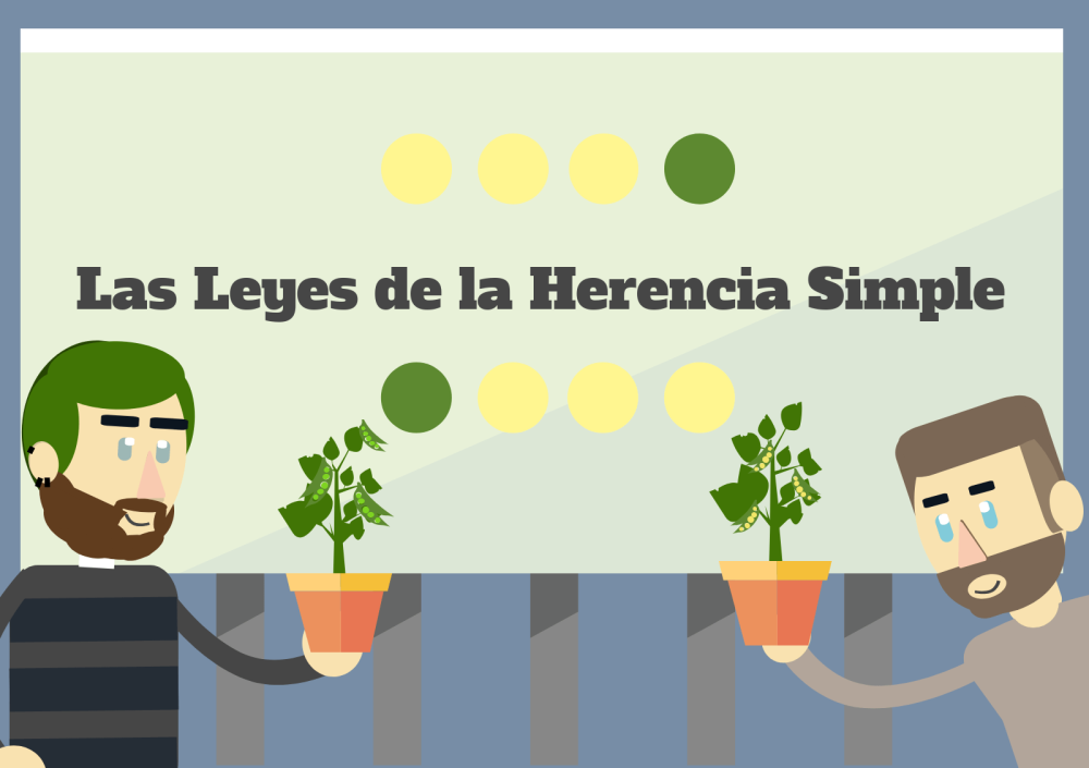 Las leyes de la herencia simple: 3 mandamientos de la genética - Genotipia