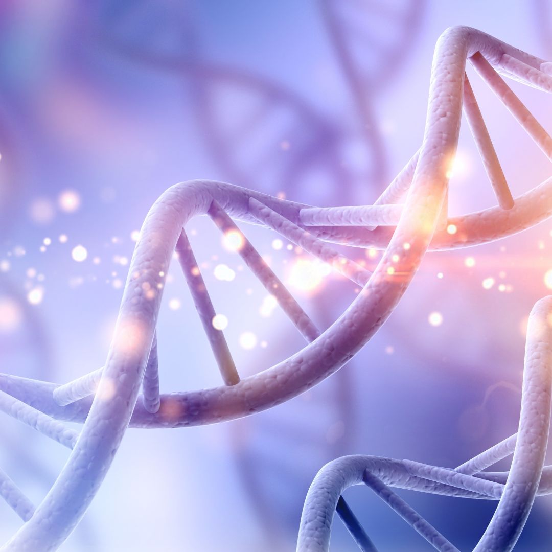 El ADN Circulante y sus Aplicaciones Clínicas