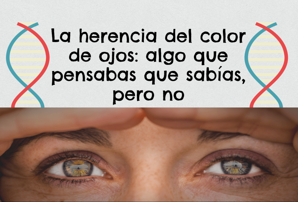 La herencia del color de ojos: algo que pensabas que sabías, pero no ...