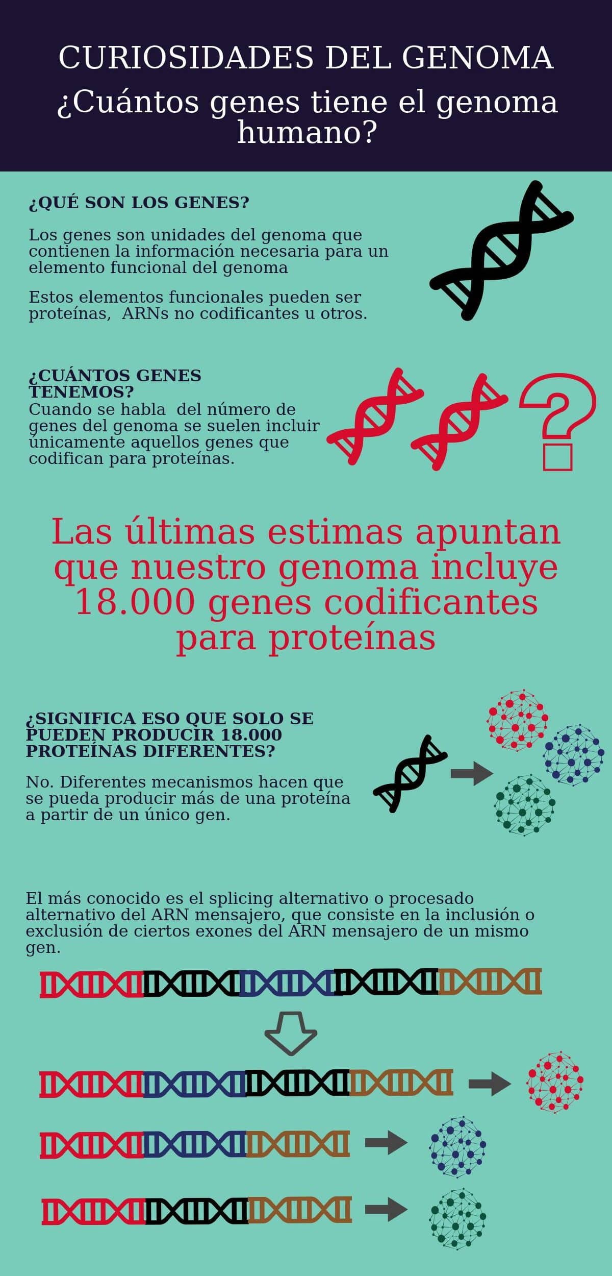 Infografía genes - Genotipia