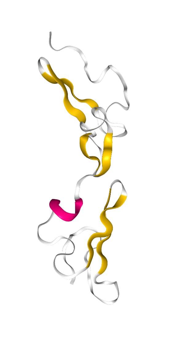 1LMJ fibrilina - Genotipia