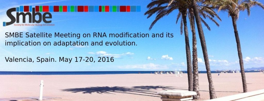 SMBE meeting on RNA modification. Del 17 al 20 de Mayo en Valencia ...