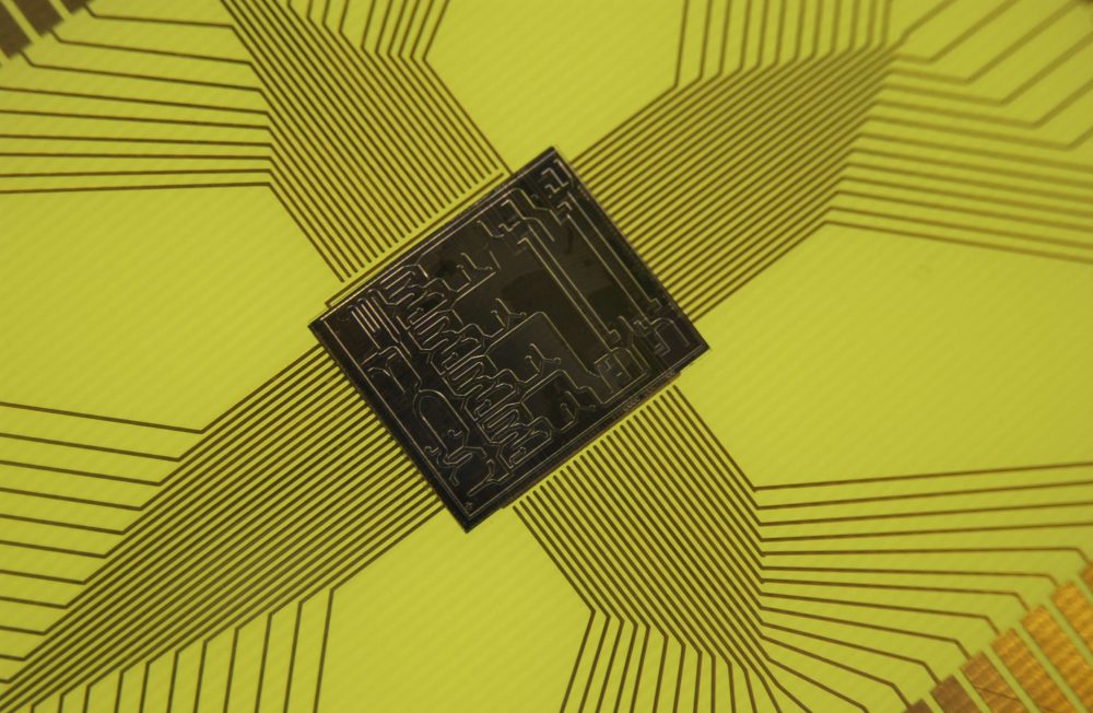 La secuenciación de ARN demuestra ser sólida y fiable para su ...