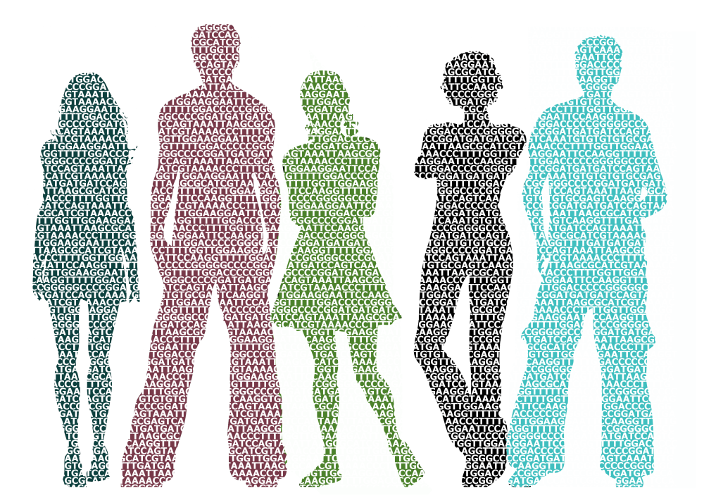 Una base de datos recoge la variación genética de la población española