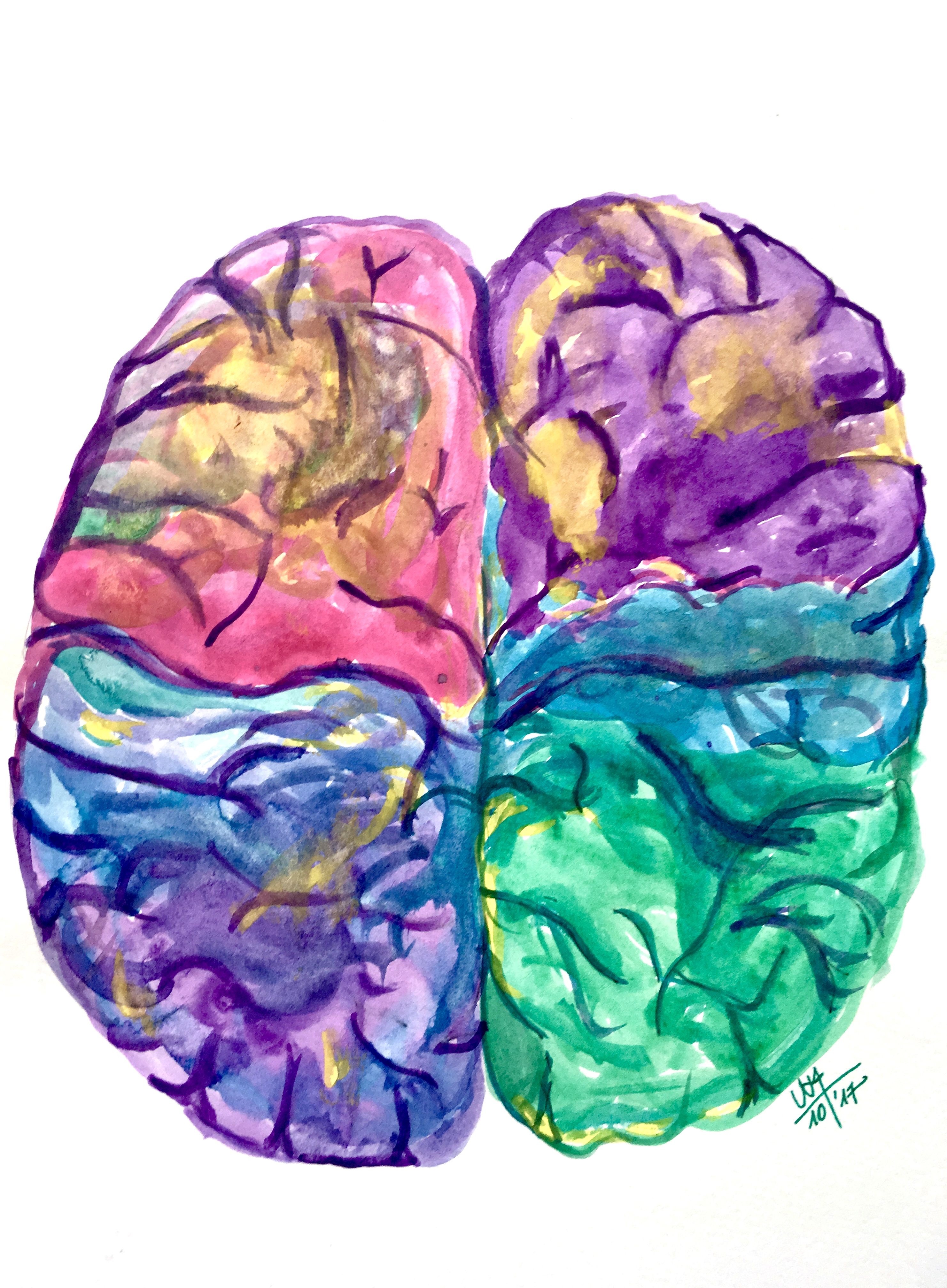 Nuevo modelo animal para investigar el autismo - Genotipia