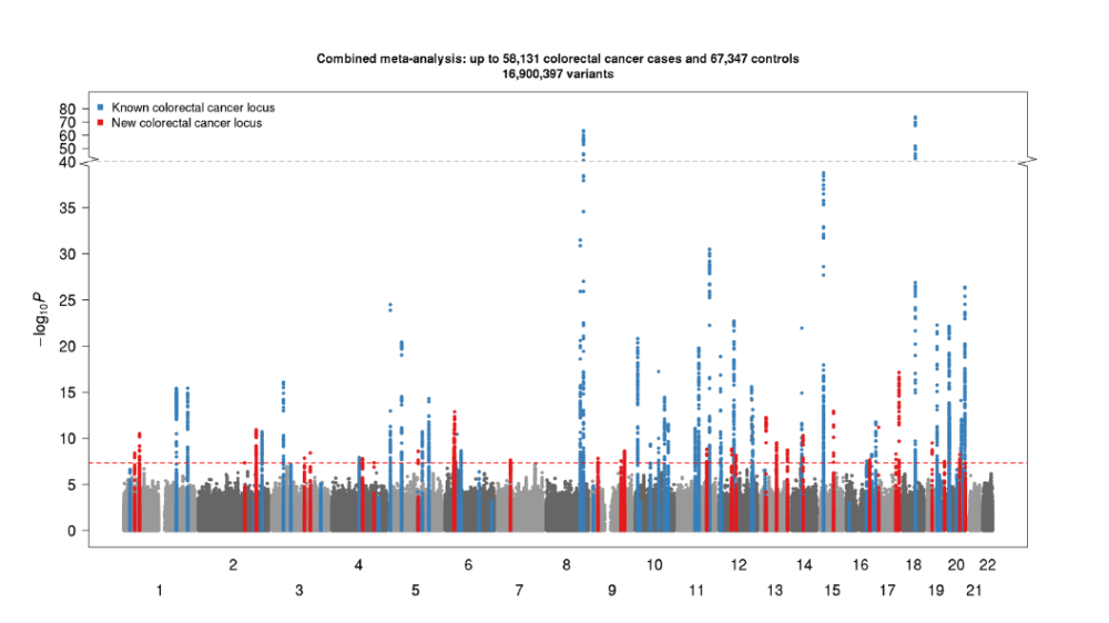 manhattan plot - Genotipia