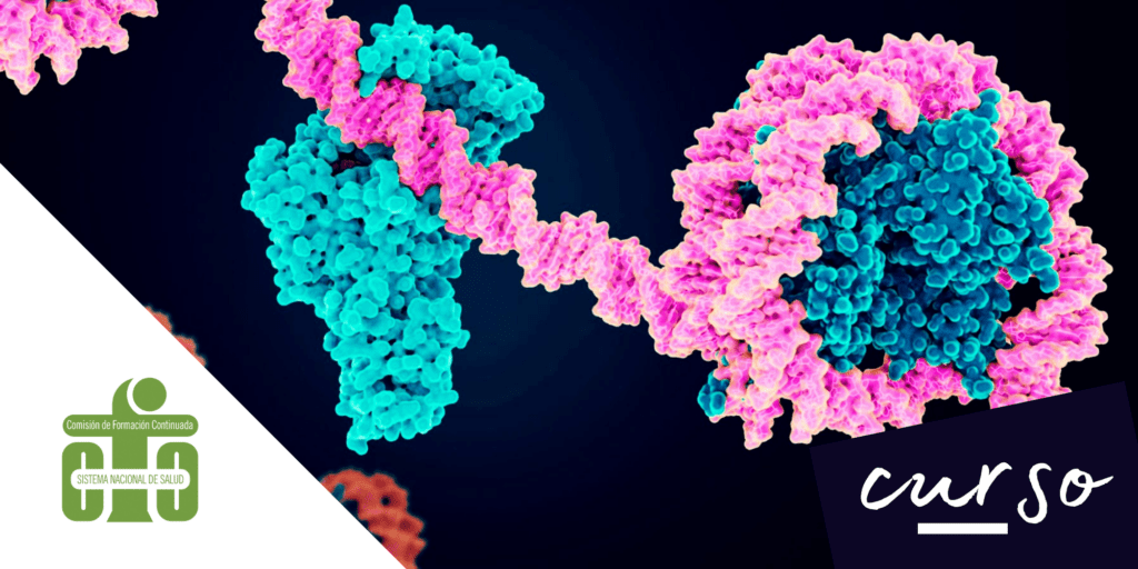 Virus III: El ciclo replicativo de los virus - Genotipia