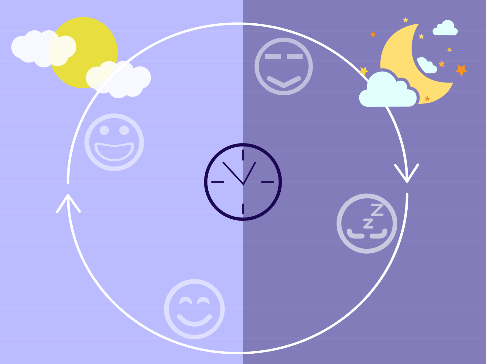 Ciclo Circadiano -Genes que te levantan y genes que te acuestan