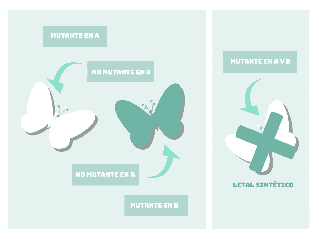 Letalidad sintética: el "talón de Aquiles" del cáncer - Genotipia