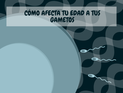Cómo afecta tu edad a tus gametos -Genotipia