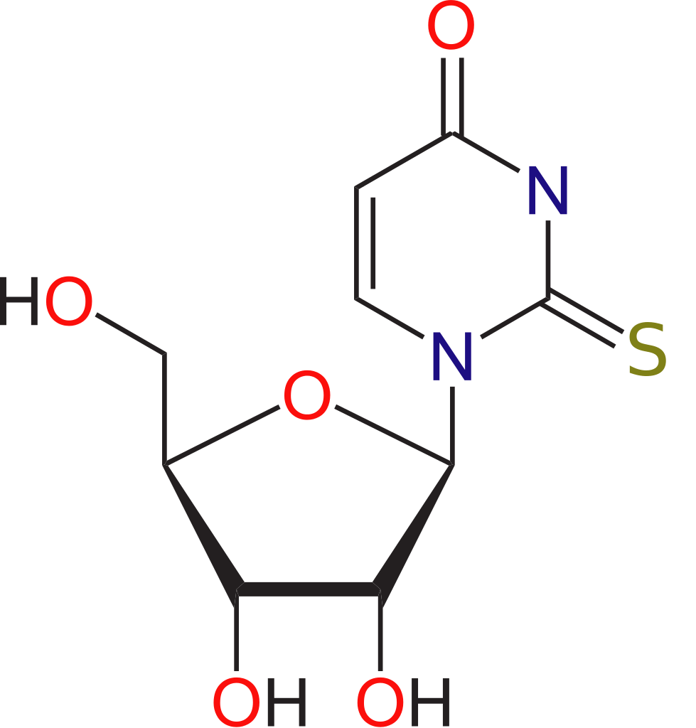 El mundo del ARN: ¿el origen de la vida? - Genotipia