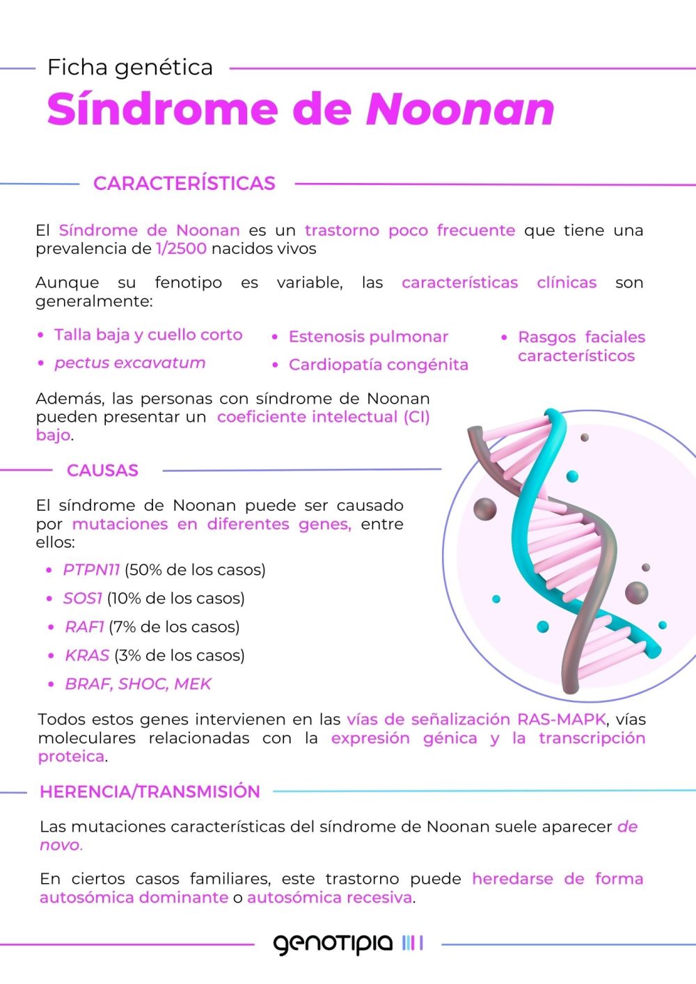 Fichas Genéticas: síndrome de Noonan - Genotipia