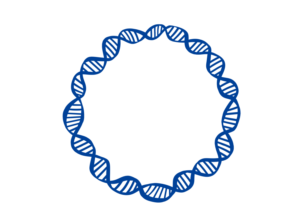 Un ARN circular relacionado con la esquizofrenia y el trastorno bipolar