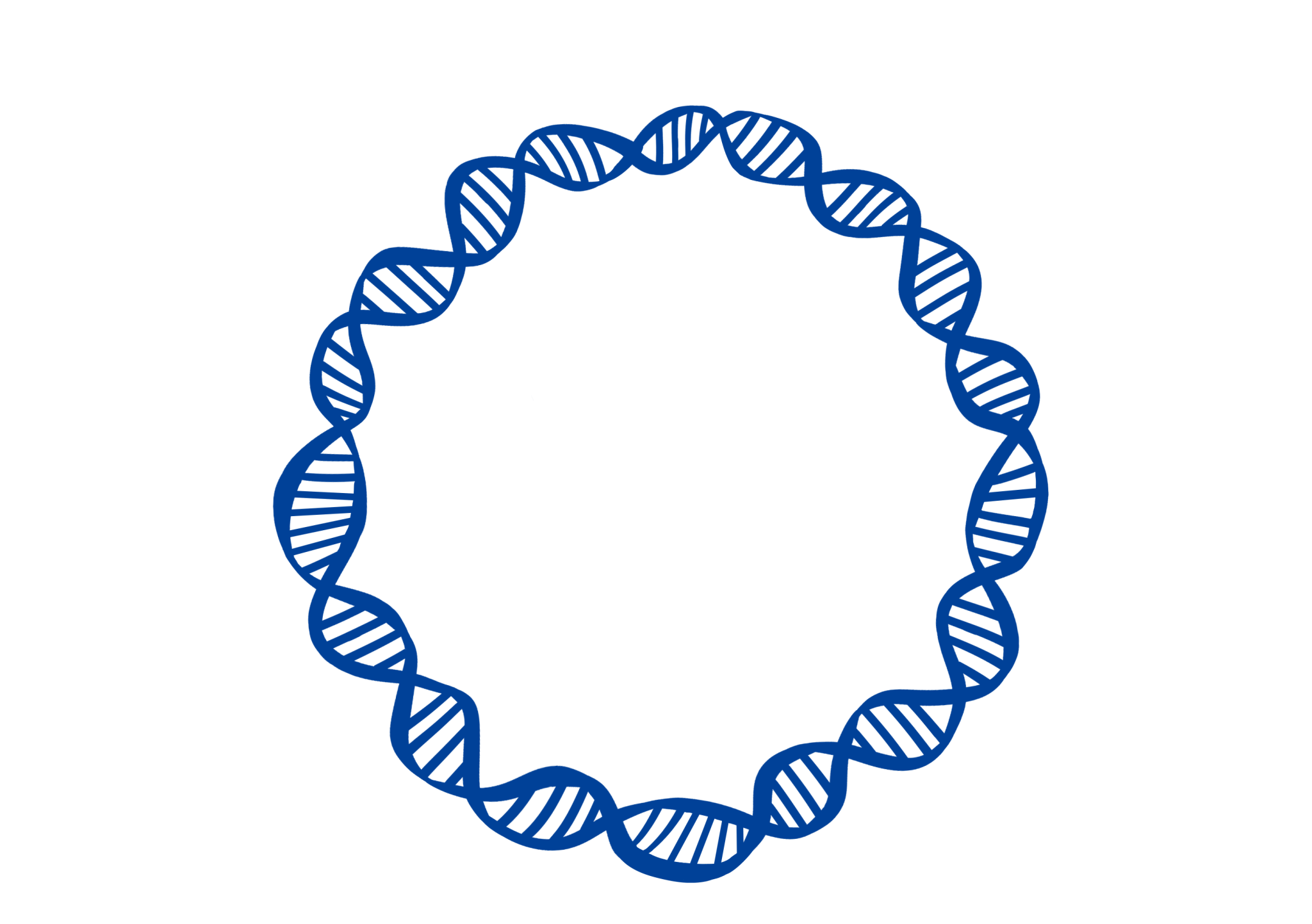 Un ARN circular relacionado con la esquizofrenia y el trastorno bipolar