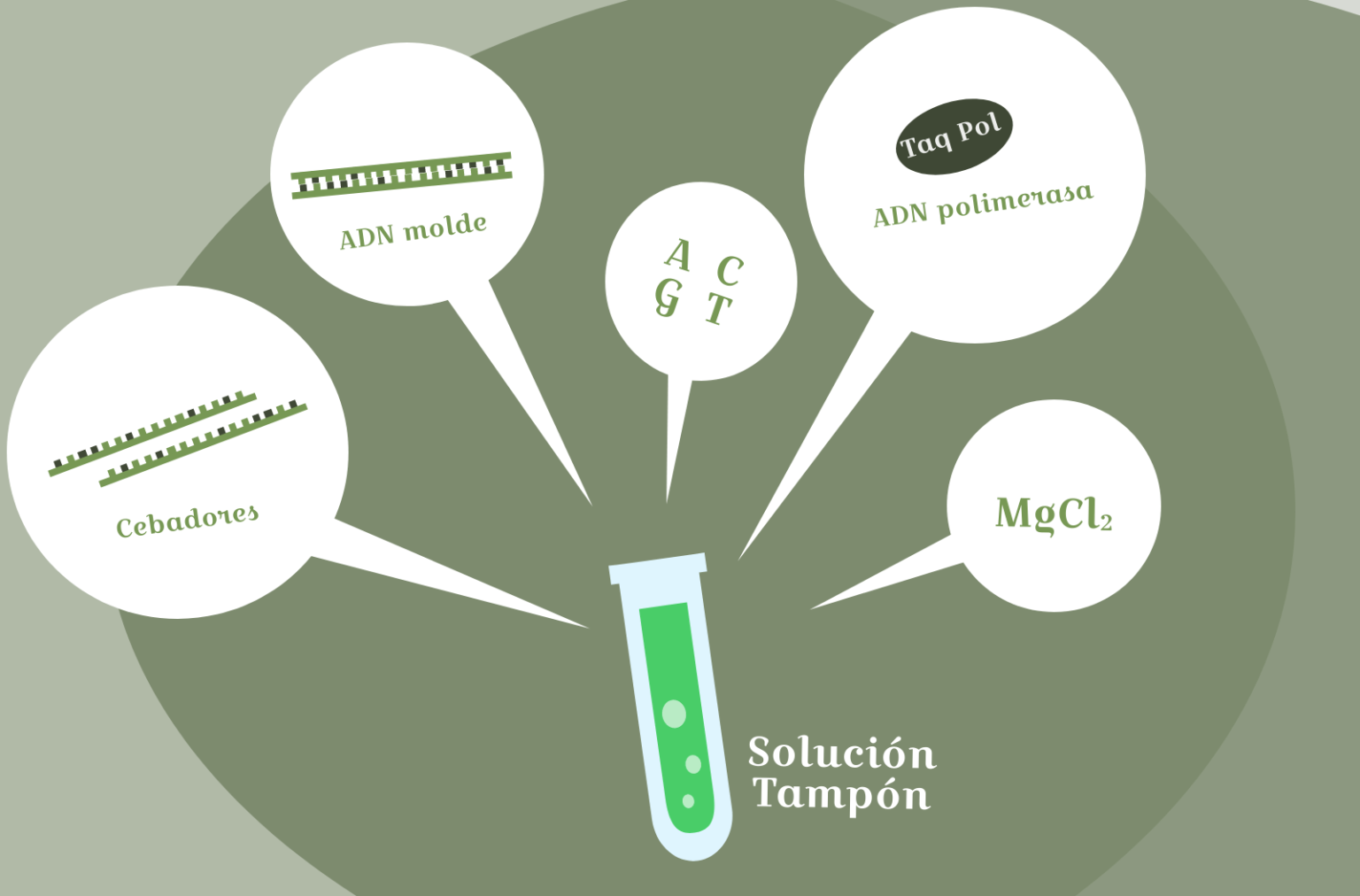 PCR: qué es y qué aplicaciones tiene