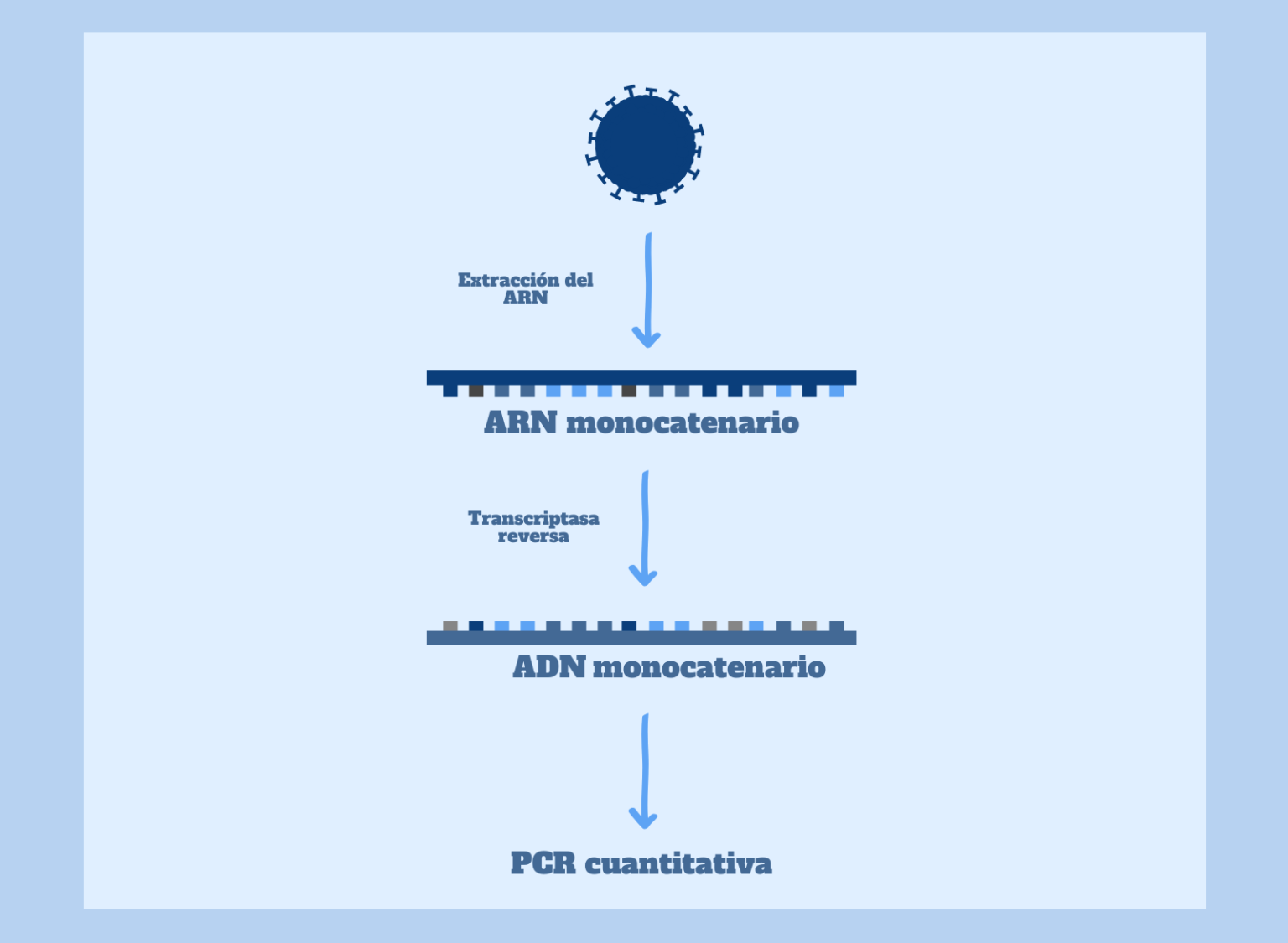 Diagnostico de SARS-CoV-2 mediante RT-PCR cuantitativa