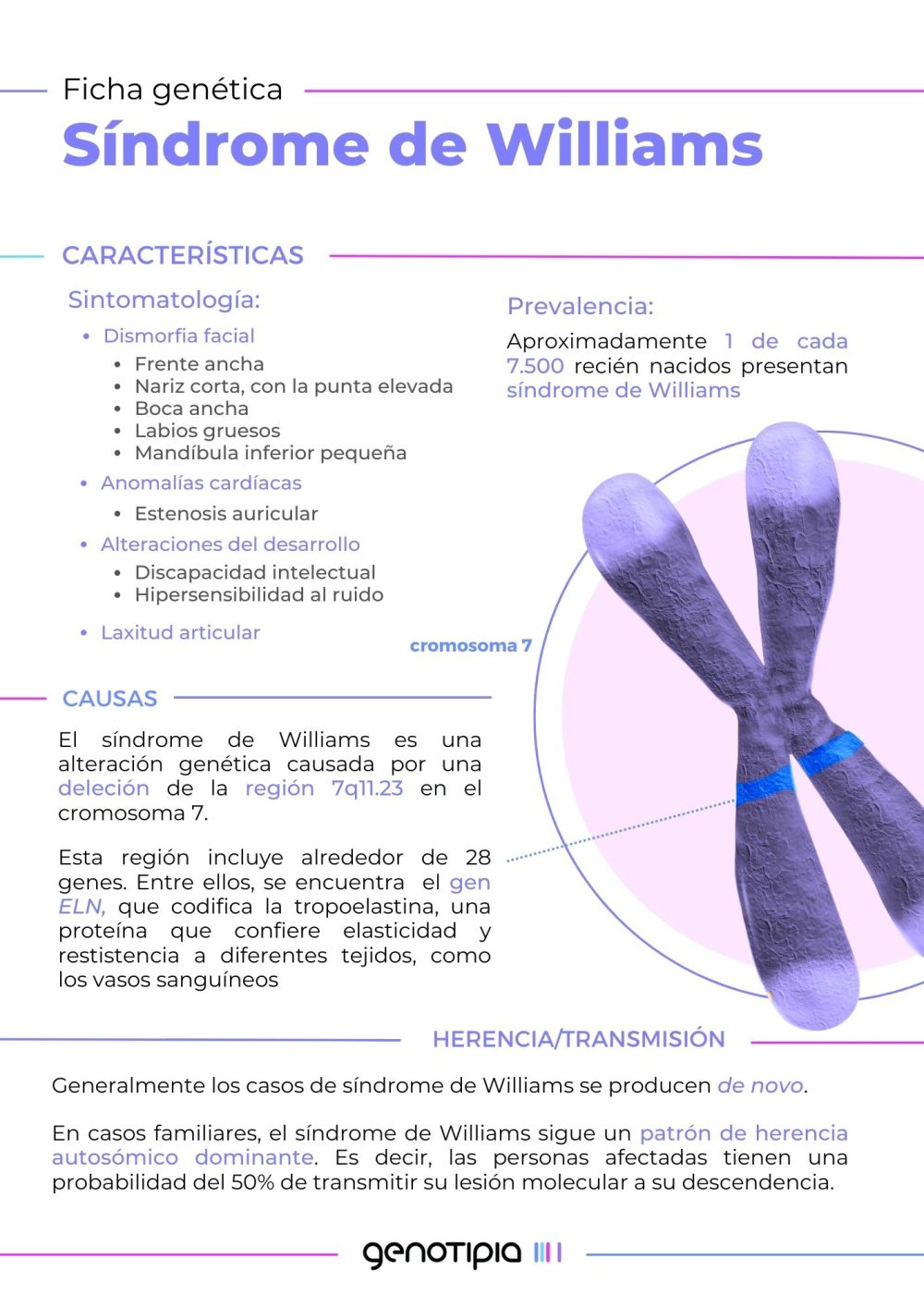 Fichas Genéticas: síndrome de Williams - Genotipia