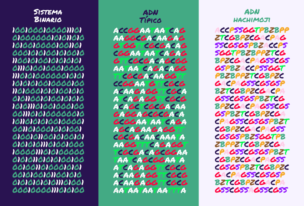 Aliens, datos y proteínas: la historia del ADN hachimoji