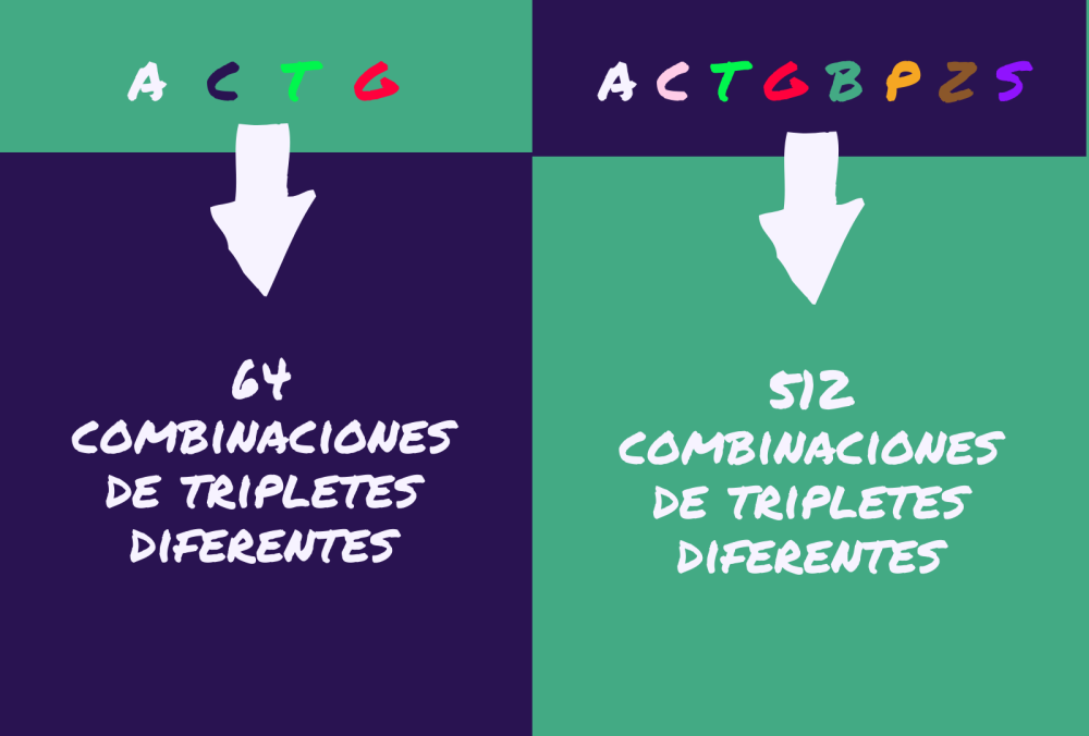 Aliens, datos y proteínas: la historia del ADN hachimoji