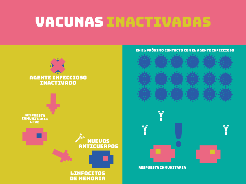 Vacunas ¿qué Son Y Cómo Funcionan Genotipia