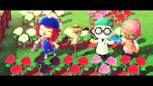 Aprende Genética con Animal Crossing: New Horizons - Genotipia