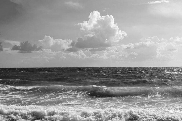 Acromatopsia: vivir sin color | FEMEXER