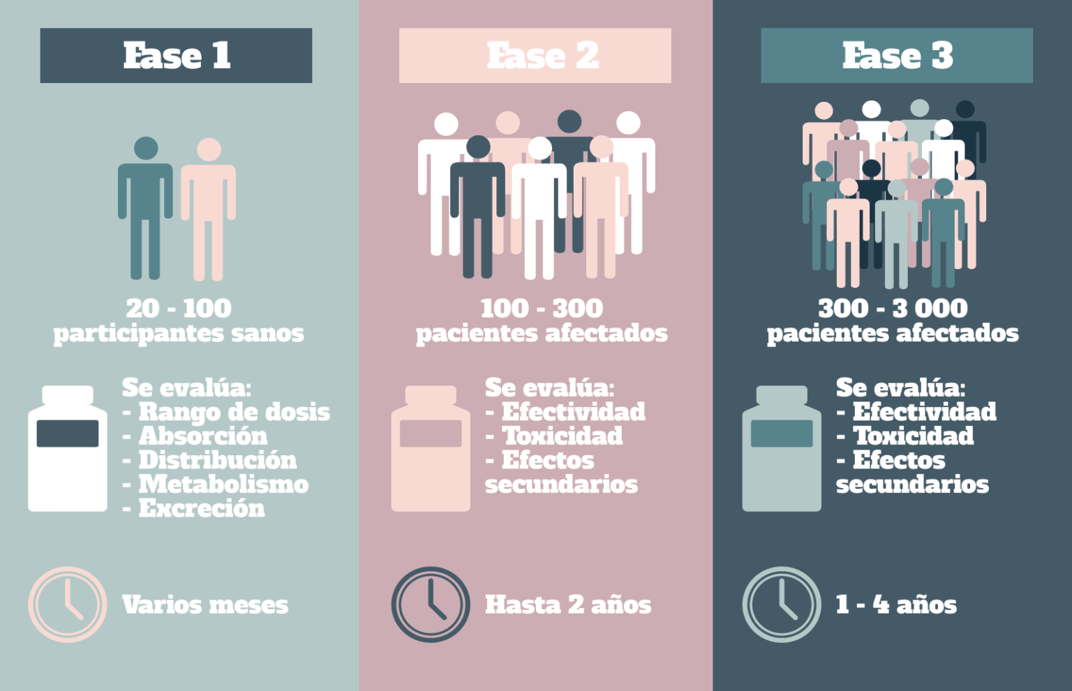 Fármacos: ¿Cómo se desarrolla un medicamento? - Genotipia