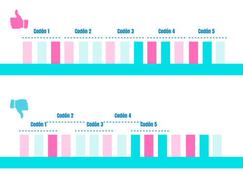 ¿Qué es el código genético? - El Blog de Genotipia