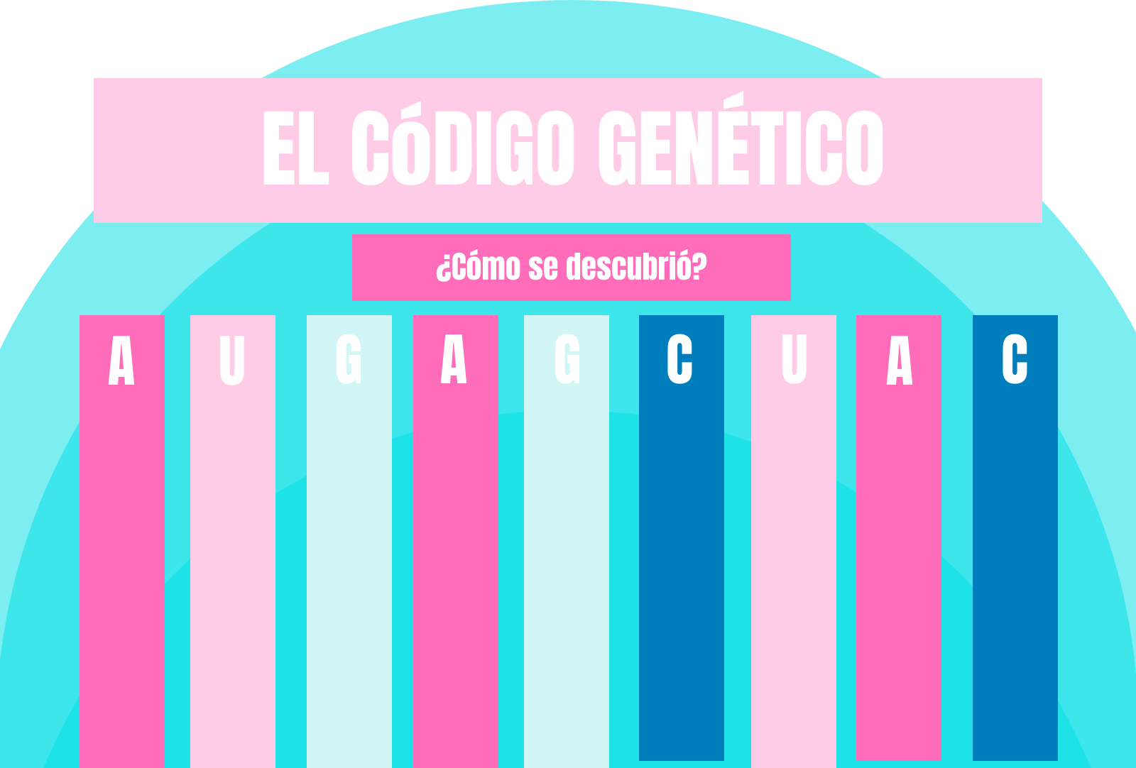 El Descubrimiento del Código Genético - Genotipia