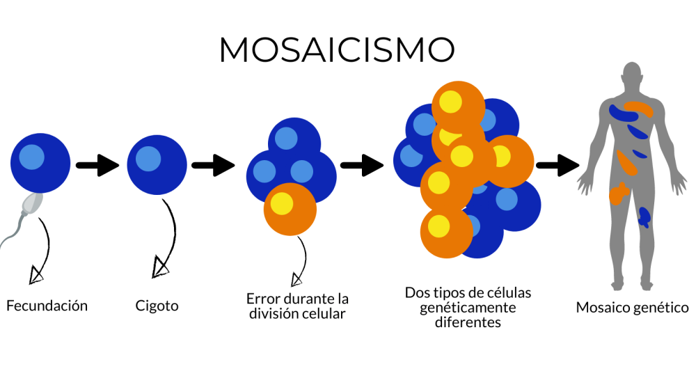 Mosaicismo Genetico
