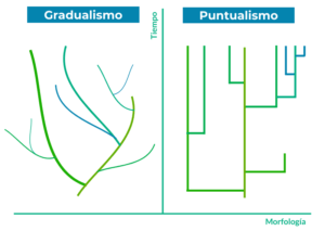 Evolución ¿Cuál es el origen de las especies?