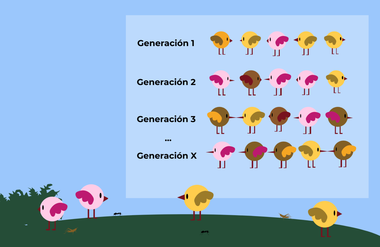 Darwin: Un Paseo por la Evolución - Figuras de la Genética