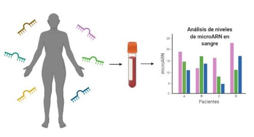 MicroARNs: Qué Son y Cómo Regulan la Expresión Génica