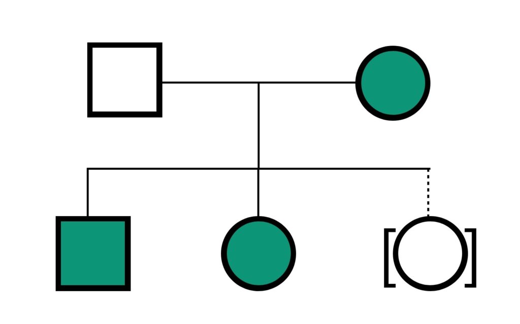 ¿Cómo Hacer un árbol Genealógico?