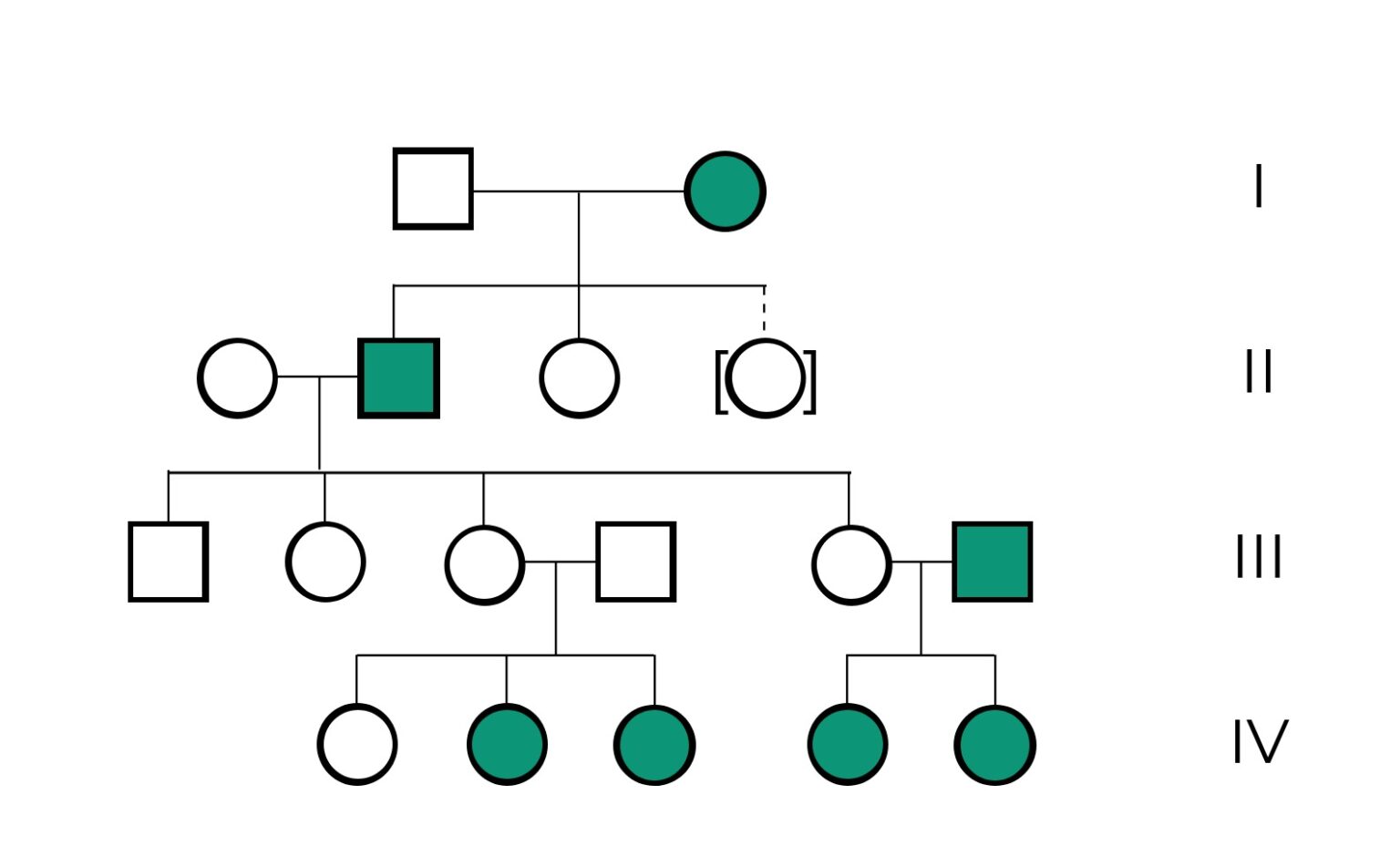 ¿Cómo Hacer un árbol Genealógico?
