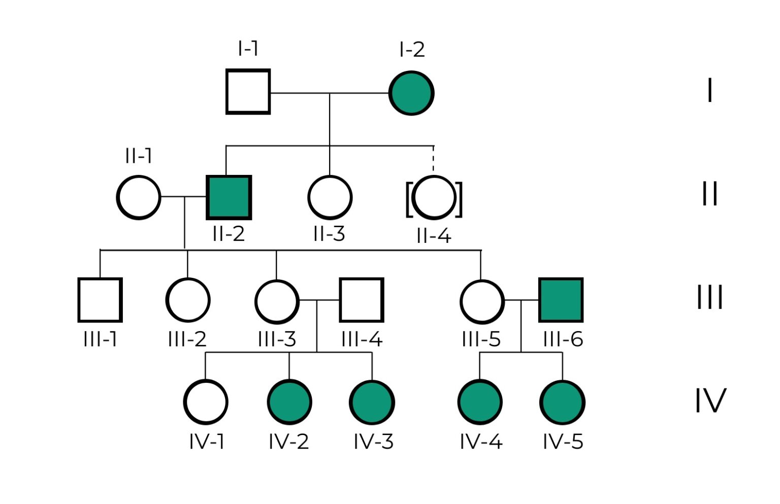 ¿Cómo Hacer un árbol Genealógico?