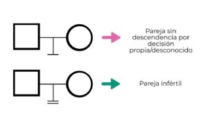 ¿Cómo Hacer un árbol Genealógico?
