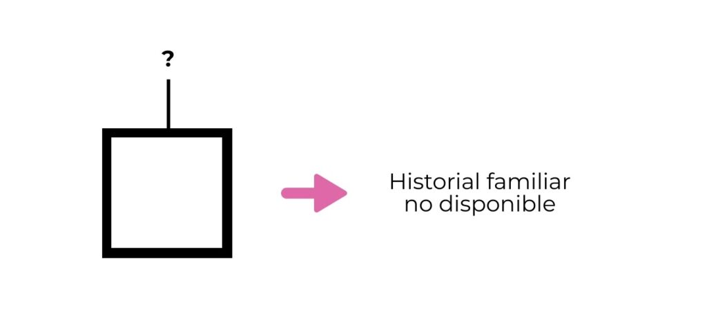 ¿Cómo Hacer un árbol Genealógico?