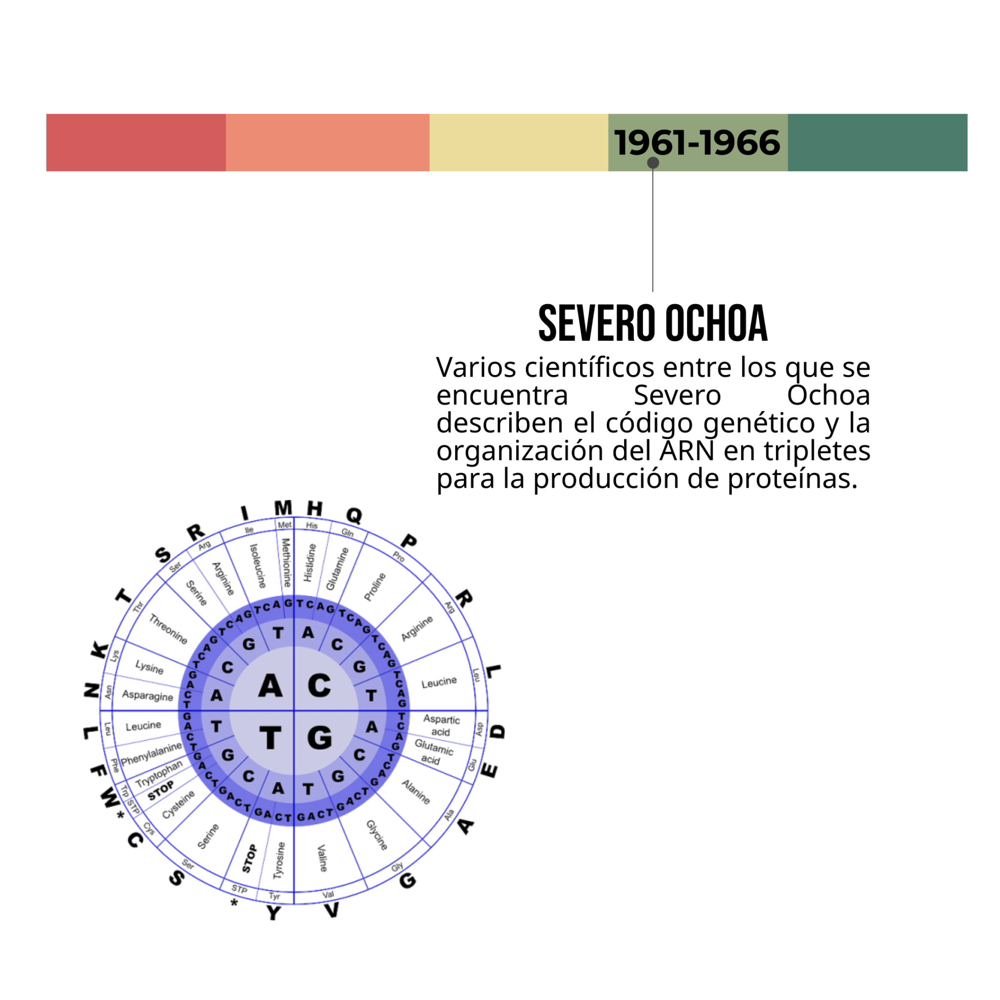 El Día del ADN. Un paseo por la historia de la Genética Humana