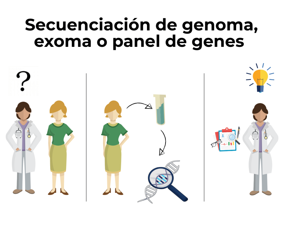 ¿Qué pruebas genéticas se utilizan para cada enfermedad?