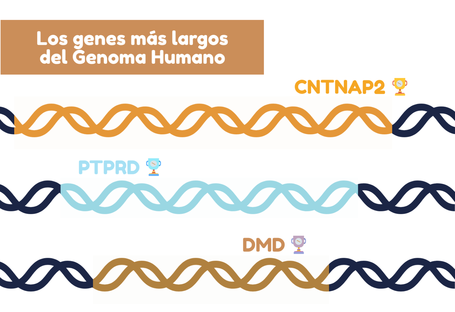 Los Récord Guinness del Genoma Humano - Genotipia