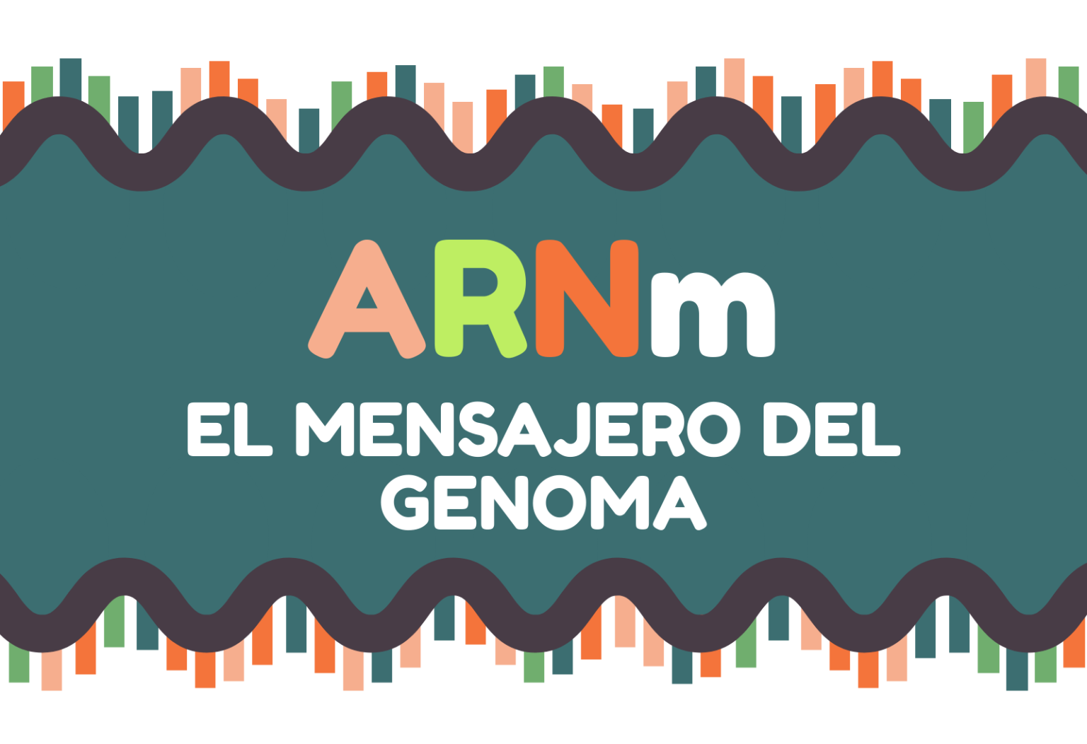 El ARNm, el mensajero del genoma - El Blog de Genotipia