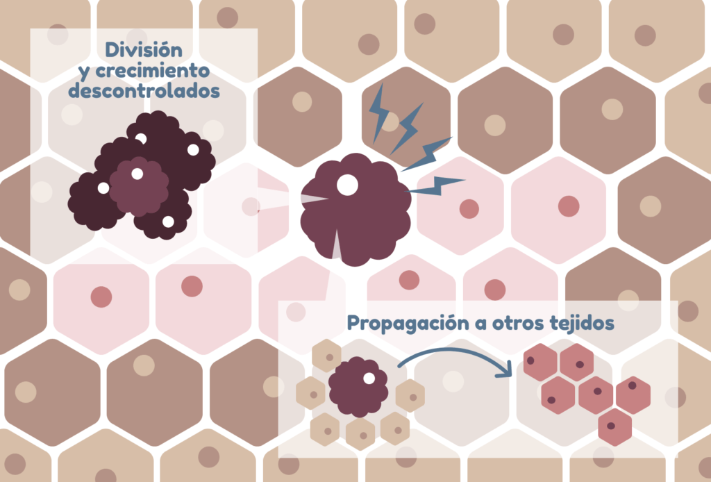 Genética en Cáncer: origen del cáncer, mutaciones y aplicaciones