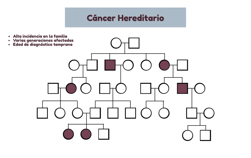 Genética en Cáncer: origen del cáncer, mutaciones y aplicaciones