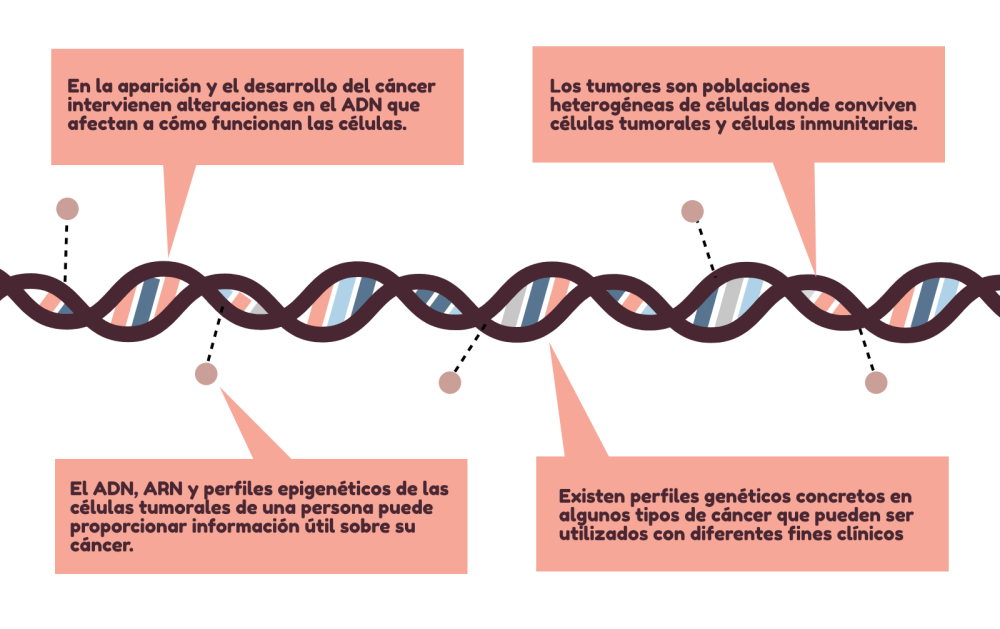 Genética en Cáncer: origen del cáncer, mutaciones y aplicaciones