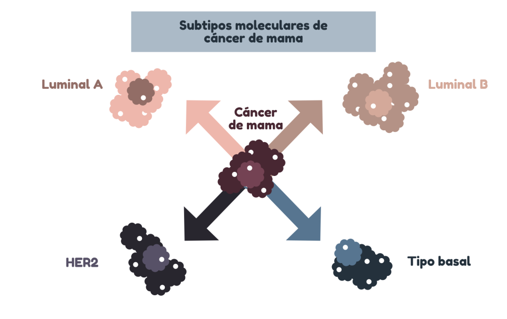 Genética en Cáncer: origen del cáncer, mutaciones y aplicaciones
