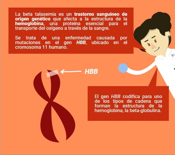 Aprende con la Dra. Santos: beta talasemia - Genotipia