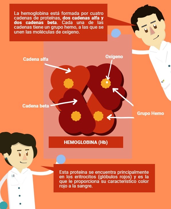 Aprende con la Dra. Santos: beta talasemia - Genotipia